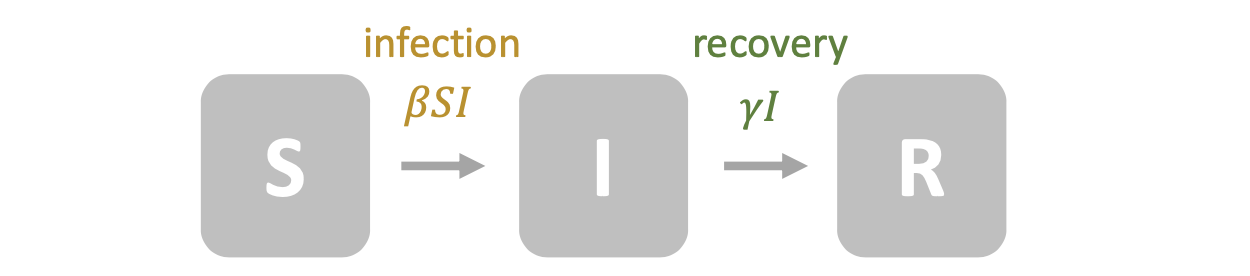 Intro to Infectious Disease Modeling (in R) | Sinead Morris